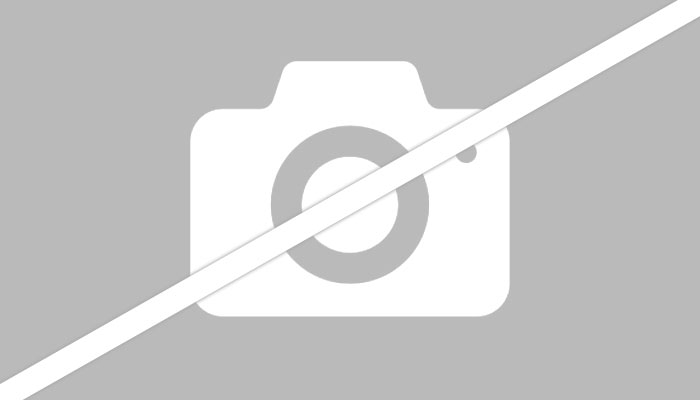 AmigoGalgo - Adopta un galgo